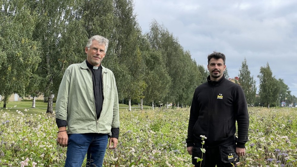 Stadsnära blomsteräng skapar biologisk mångfald: "Det är både roligt ...