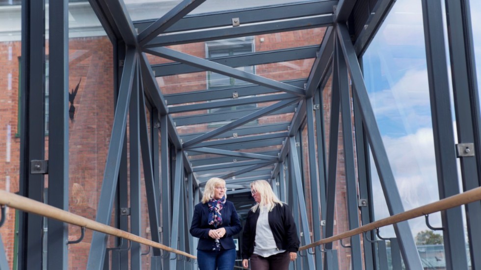 Så gick det till när kvinnliga toppolitiker tog makten på Gotland