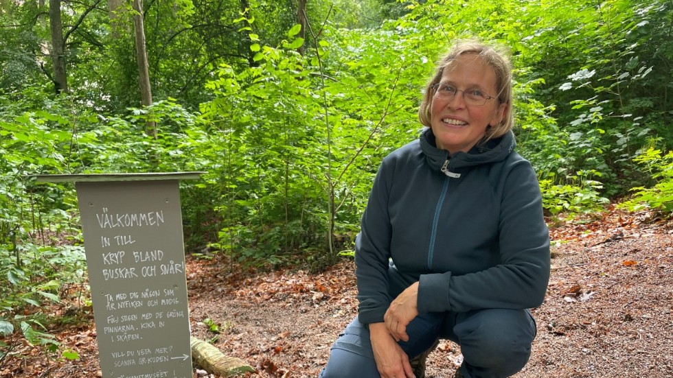 Sommar runt slottet har invigts – "Vi vill fylla slottsparken med ...