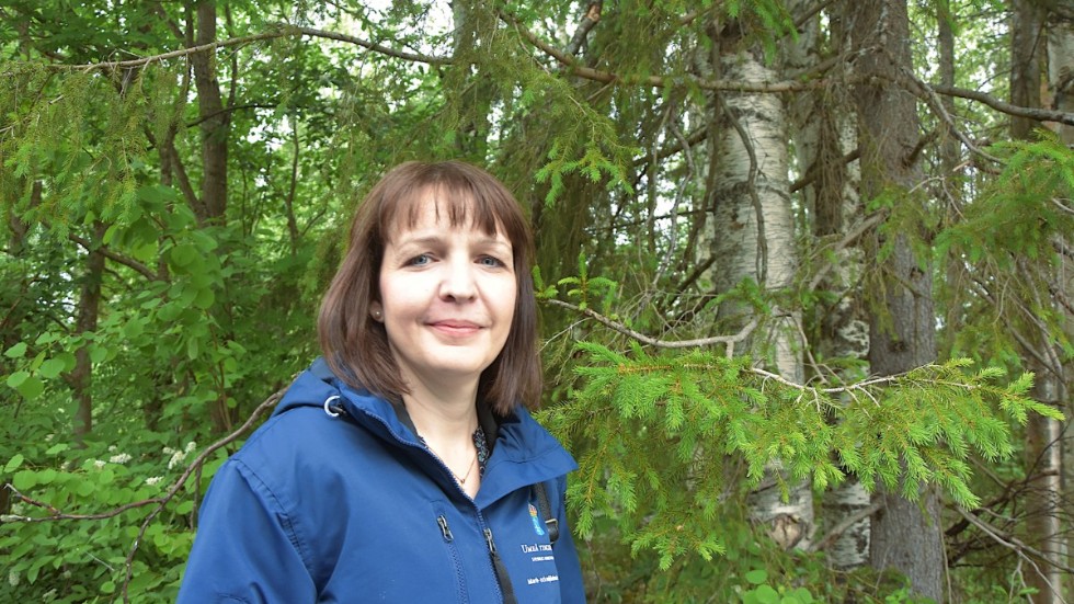 Nya regeringen pausar prövningar för vattenkraft – osäkert hur det ...