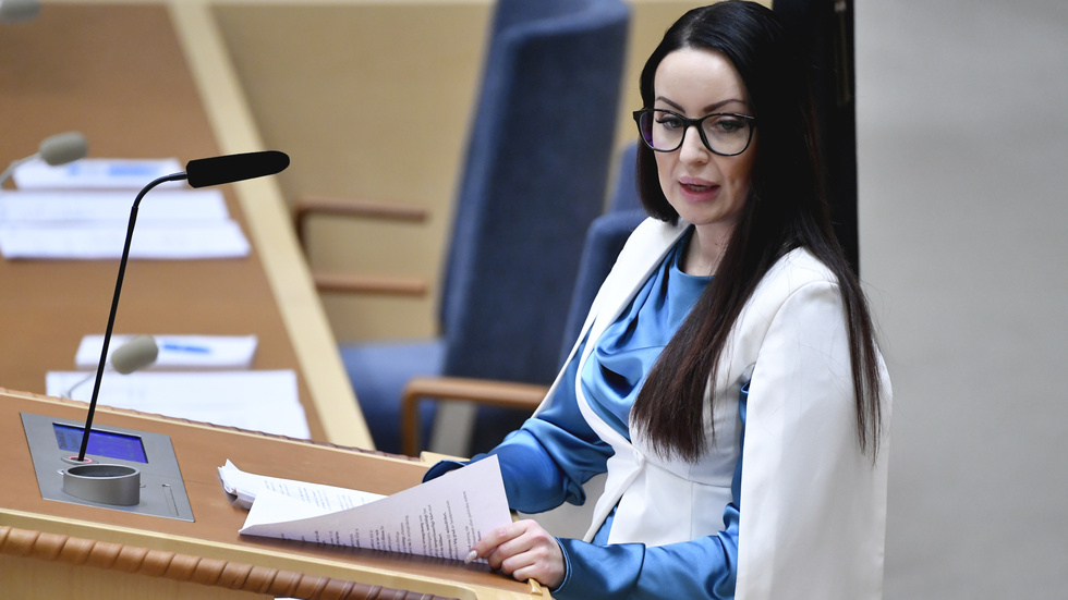 Hon tar över ordförandeposten i SD: "Vi är ett starkt lag"