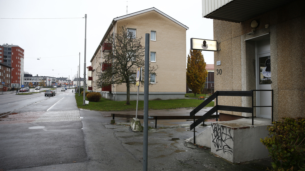 Nora, 25, vågade följa sin dröm: "Det får bära eller brista"