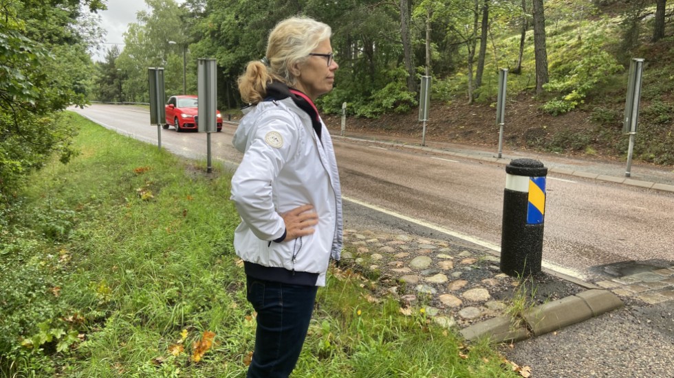 Ber om sänkt hastighet: "Vi som bor här ser hur illa det är"