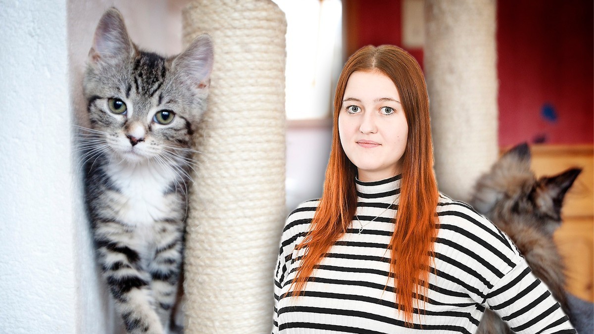 MARIA WALLIN: Maria Wallin: Till kattantens försvar – därför är ...