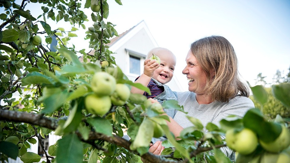 Northvolt: Anjas telefonsamtal blev avgörande
