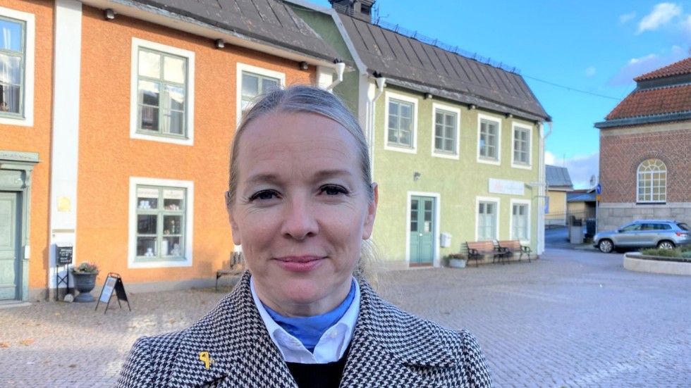 Diana Janse: "Det saknas politisk vilja och pengar"