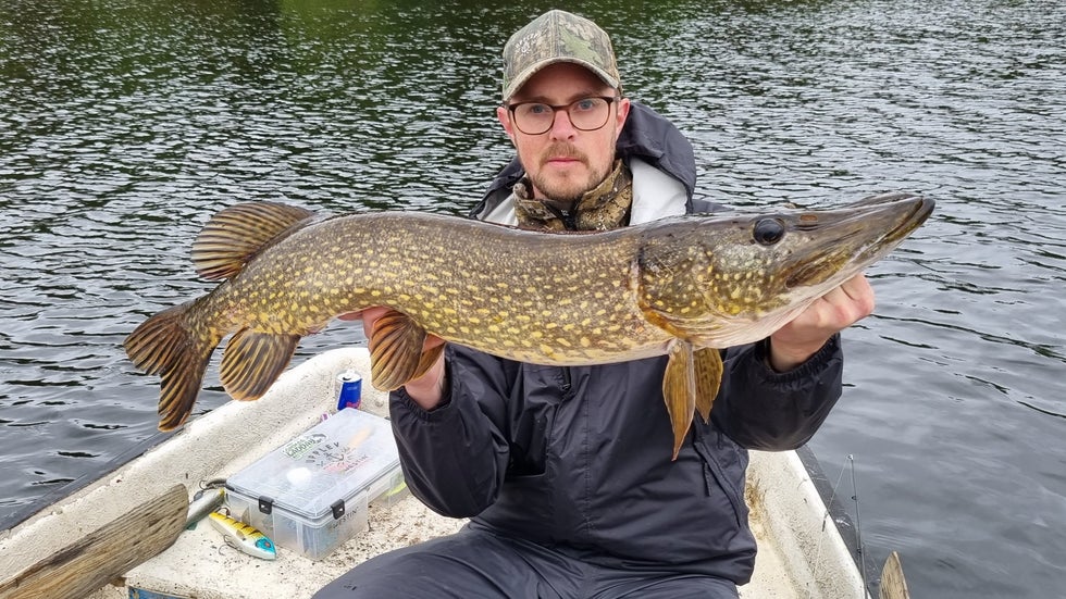 Stora gäddor i sjöarna runt Åtvidaberg