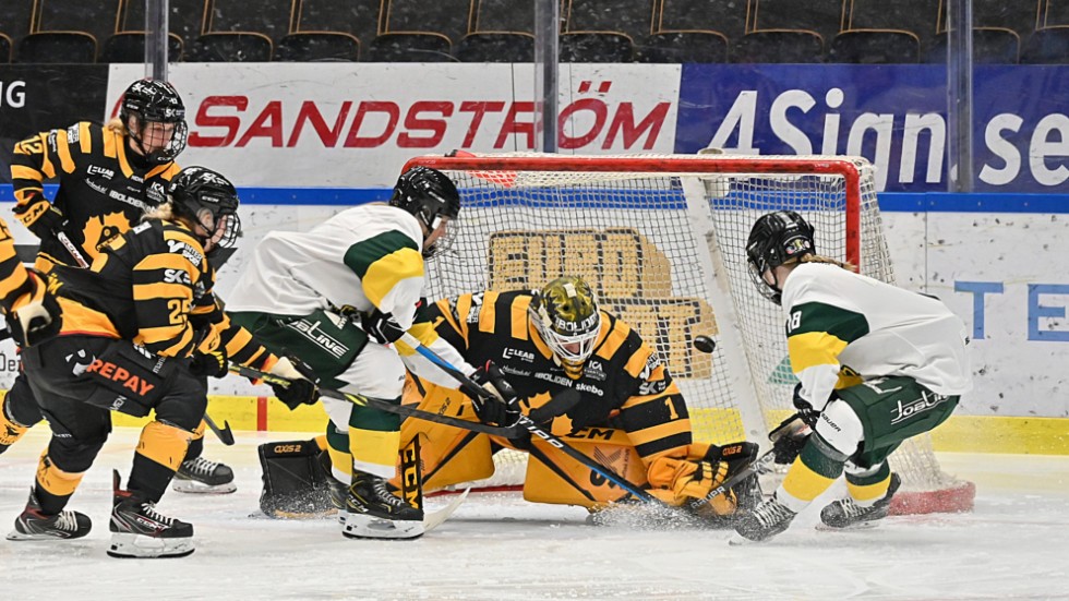 Dahlgren nollade "Löven" – när AIK avgjorde sent: ”Det satt långt inne”