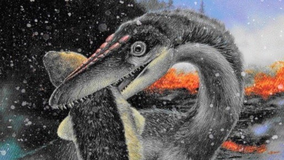 Kylan hjälpte dinosaurier att ta över världen