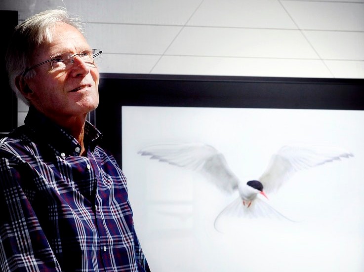 DEBATT: Fåglar bakom glas och ram