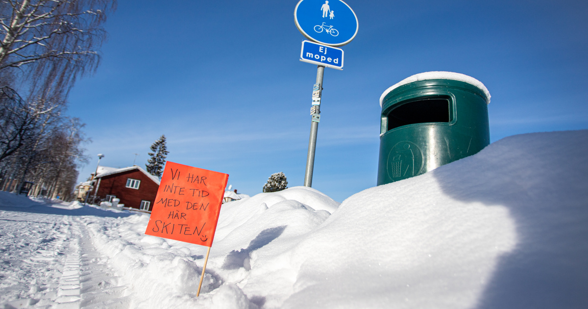 INSÄNDARE: Nu måste ni sluta snacka skit – hundskit