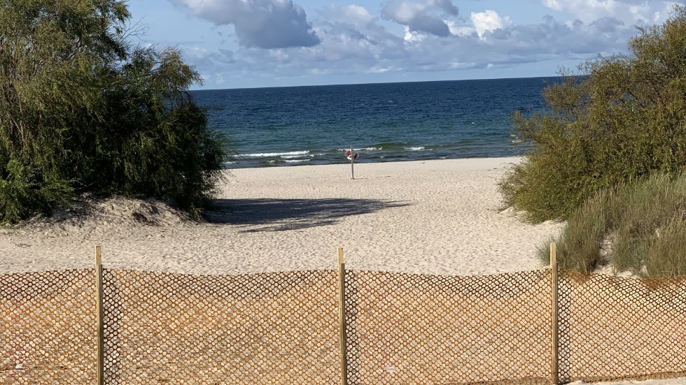 INSÄNDARE: Sorg i hjärtat