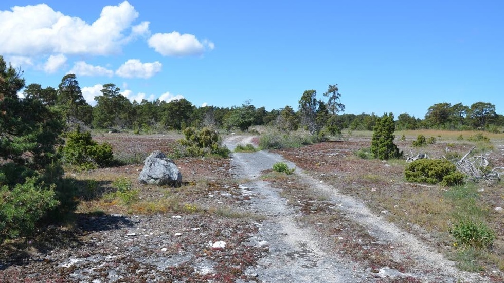 Ilska i bygden: ”Vi vill inte ha någon nationalpark”