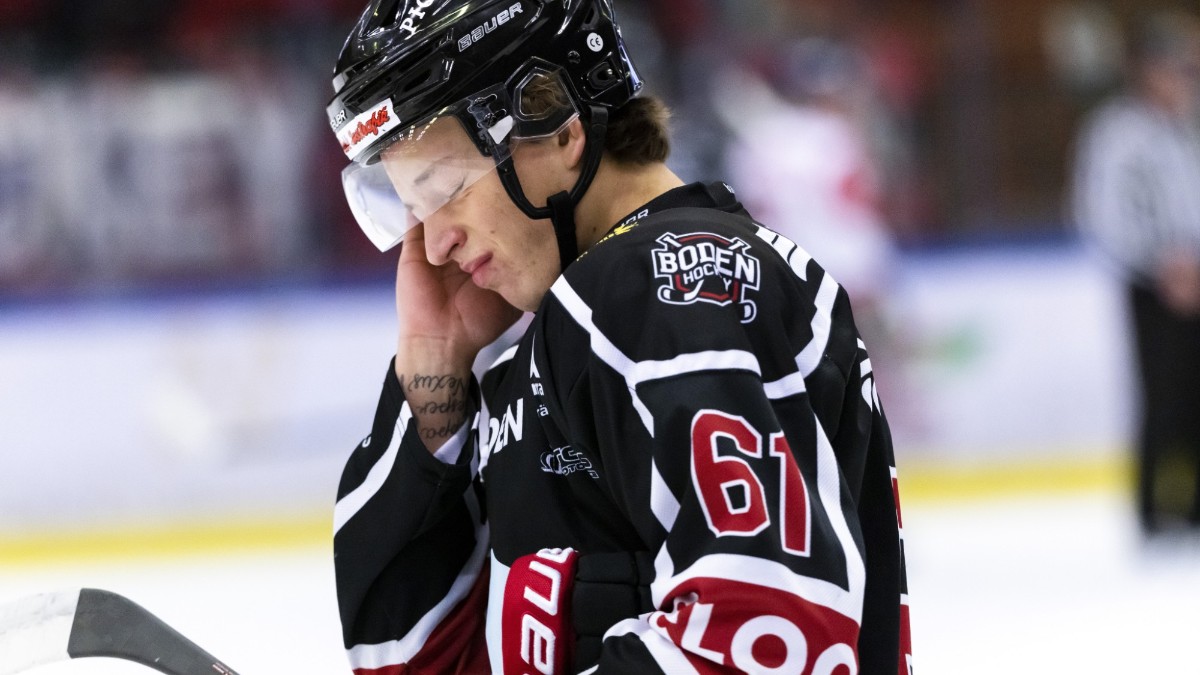 Bodens säsong över • Tränaren: "Det här var ett kamikazeuppdrag"