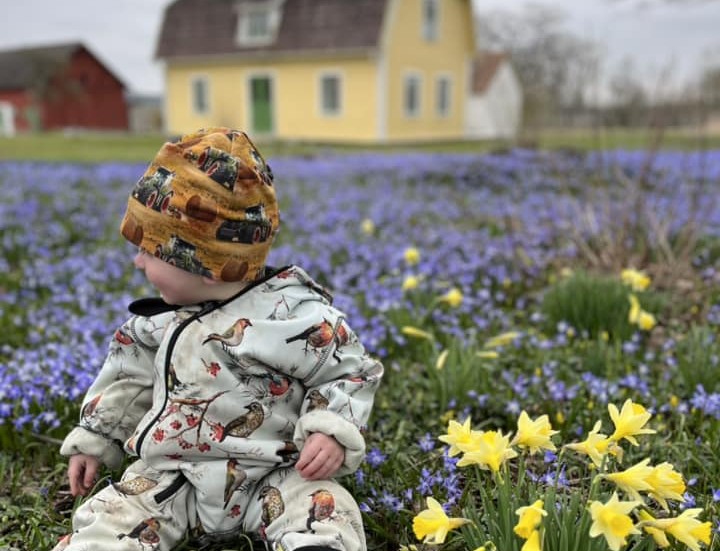 STORT BILDEXTRA: Se läsarnas alla vackra vårbilder