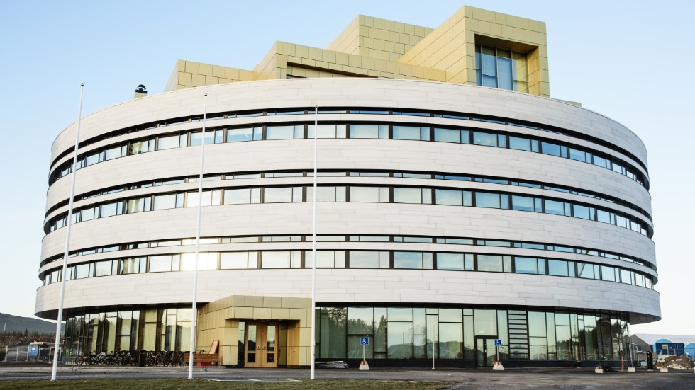 Maria Lind blir ny chef för Konstmuseet i Norr