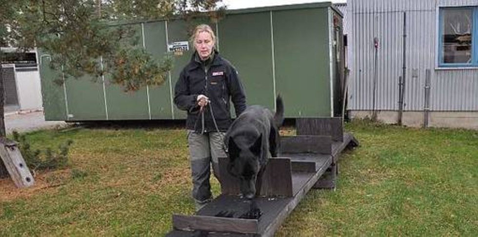 Frivilliga sköter försvarets hundar