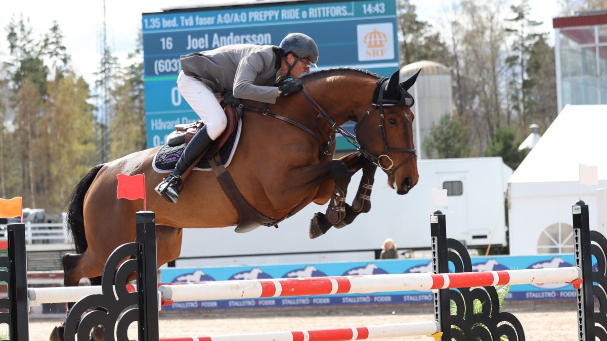 Gotländsk ryttare till internationell tävling på Stadion