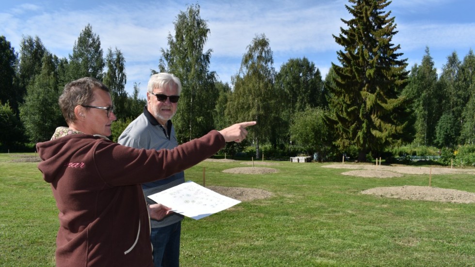 Koloniträdgårdsföreningen Dalkarlsliden förebereder inför nationella ...