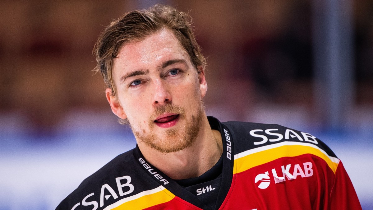 Johan Forsberg om nya satsningen – tar hjälp av succétränaren: "Kul med ...