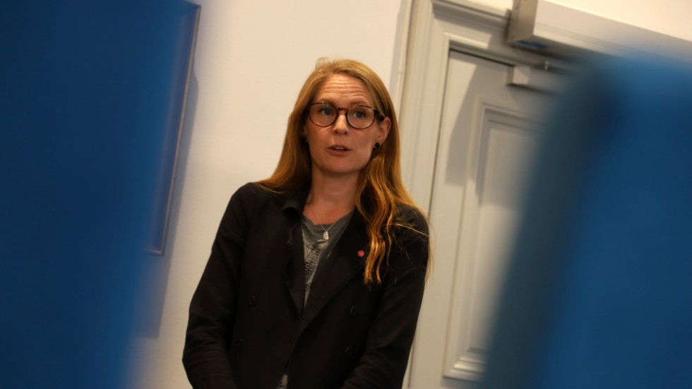 Israel-kritiska Linköpingspolitikern stöds av partiet lokalt