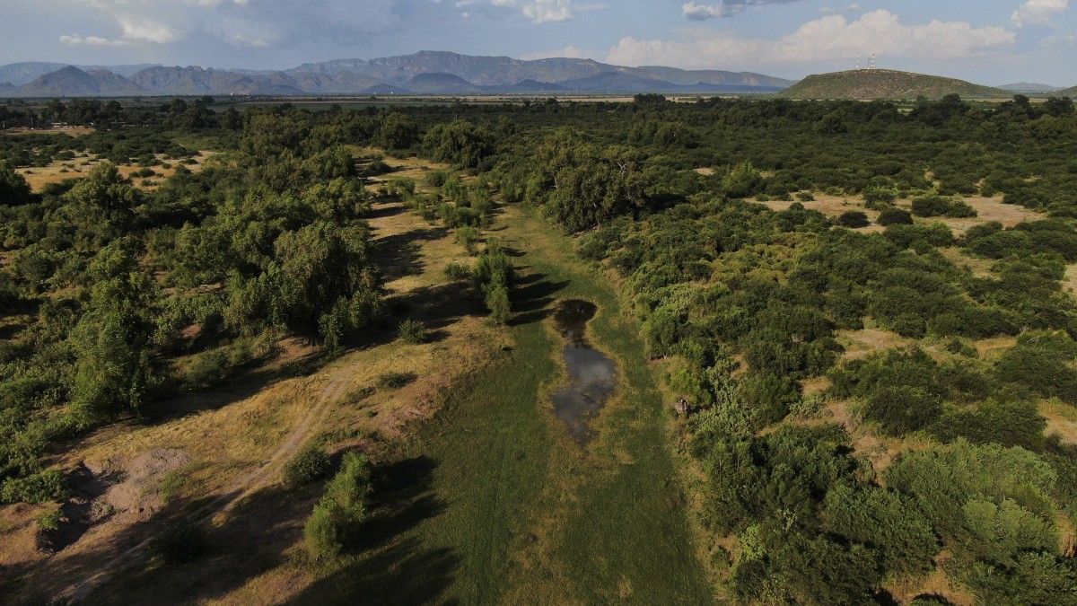 Rapport: 200 miljöaktivister mördade i fjol