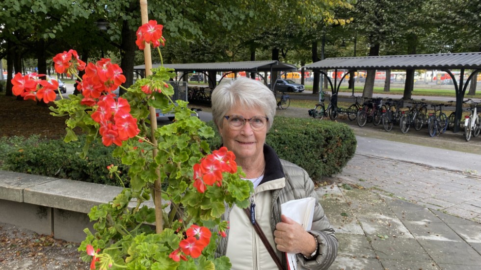 Gunnel köade två timmar – knep första pelargonen: "Nu blir den stora ...