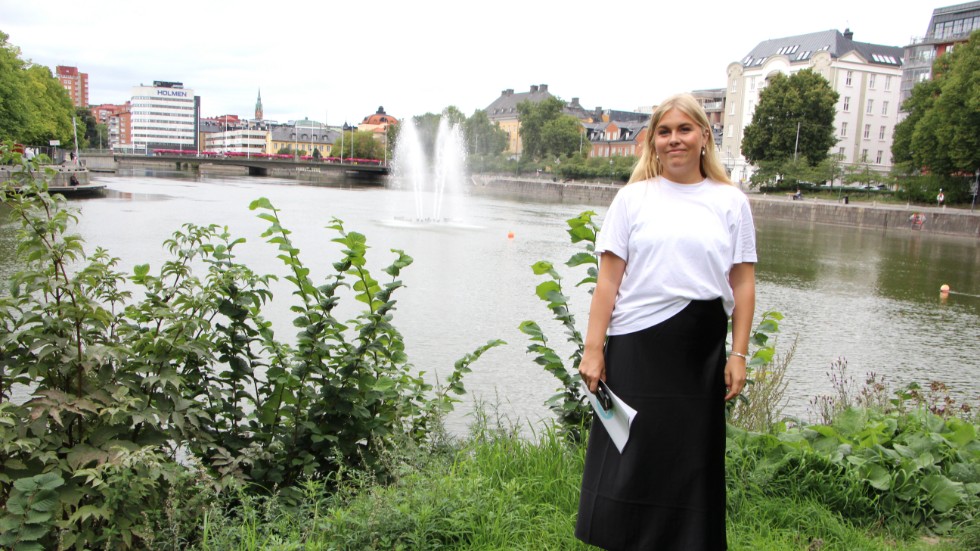 Här är de viktigaste punkterna – i framtidens Norrköping