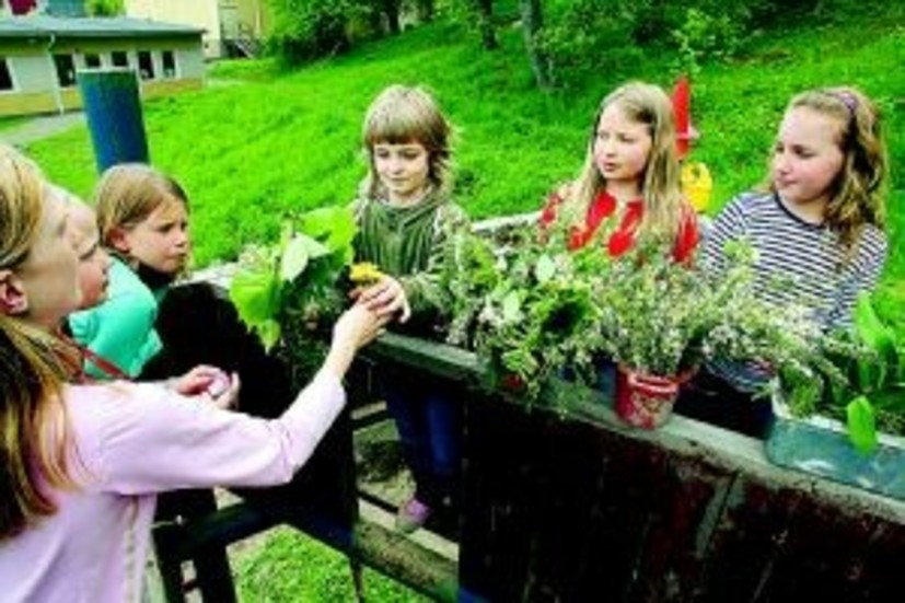 Our ten point guide to the Swedish school system