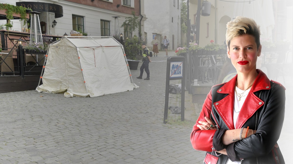 NINA RUNG: ”Det här är att leva med terror oavsett vad brottet kallas”