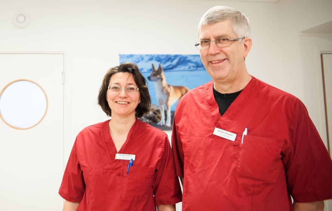 Öppet hus hos den lilla djurkliniken