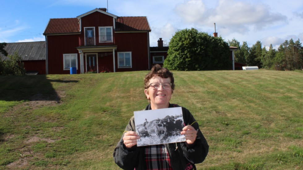 Gunnars pappa körde med oxar: "Blev känt vida omkring" • Oxarna Hjärten ...