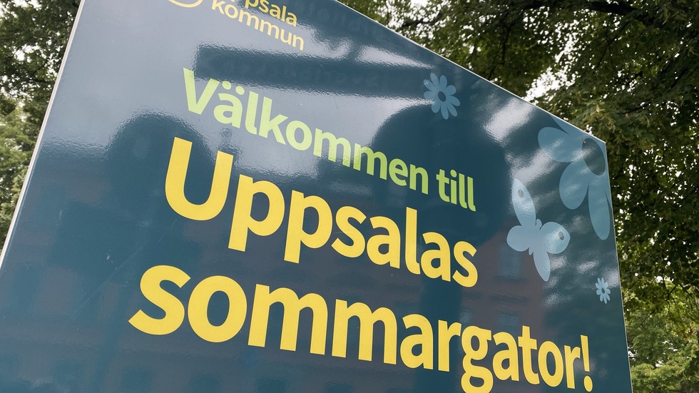 Här struntar bilisterna i förbudet på sommargatan