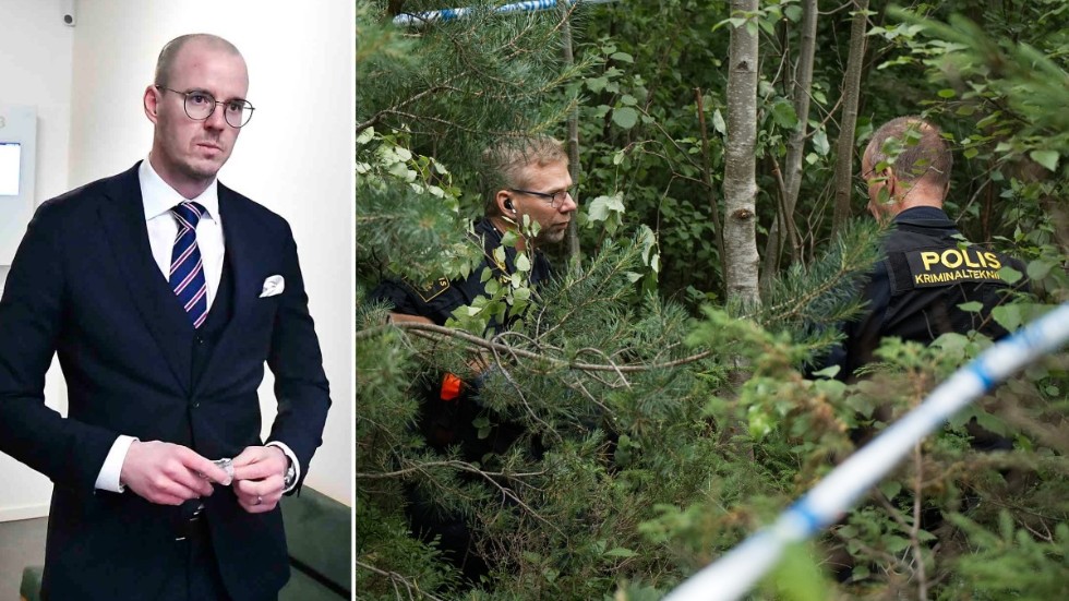 Efter beskedet att pojken är 15 år – vad händer nu? • Advokaten om ...