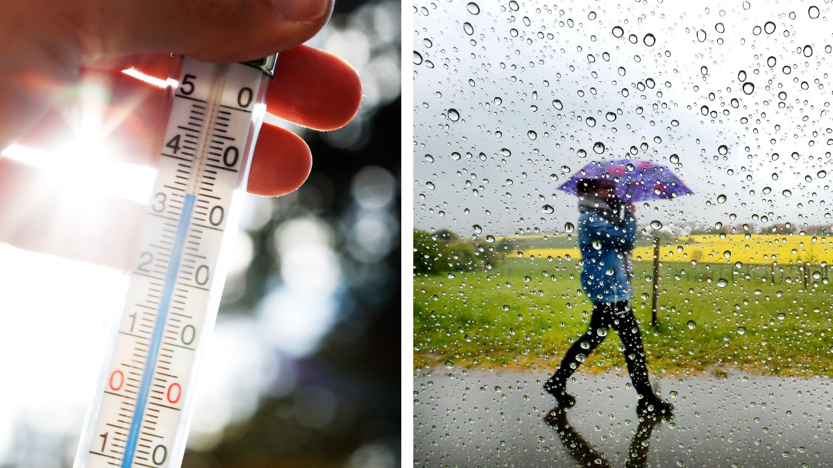 Veckans väder: Minusgrader, värmebölja och kanske, kanske regn