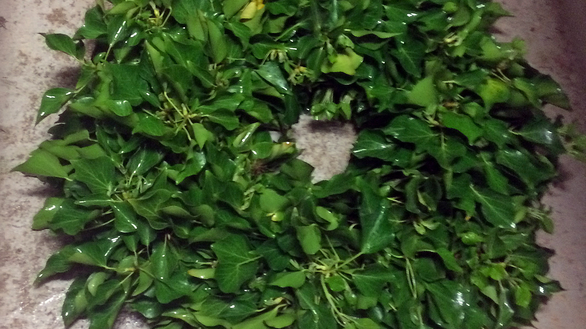 Till minne av Lars-Erik Ahlgren