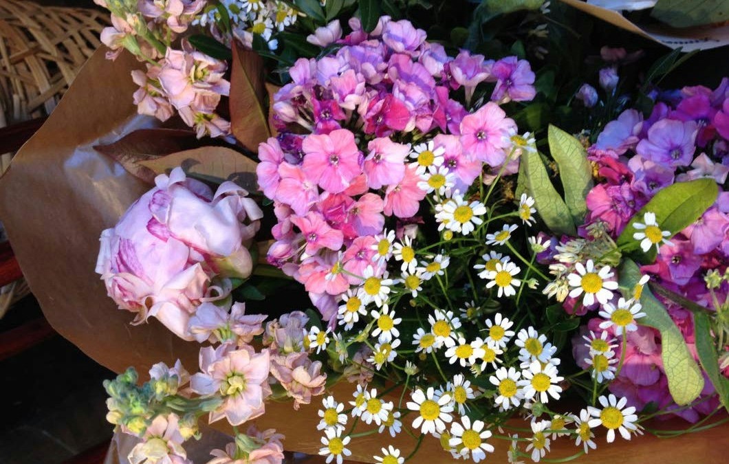 Hon fixar prinsens blommor - UNT