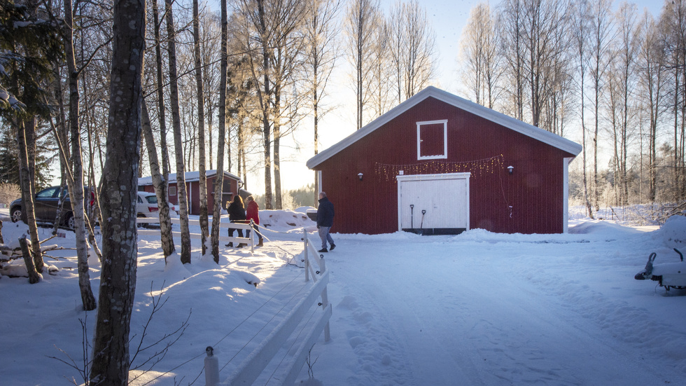 Helenes hästar brann inne – nya stallet gapar tomt: "De saknas"