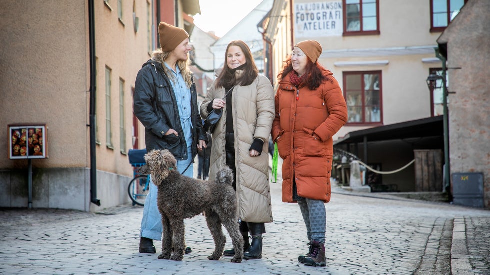 Minskat sug efter reko-mat – det vill trion ändra på • ”Skillnad mellan ...