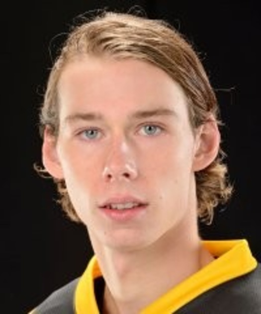 Marcus Pettersson rankad topp 40