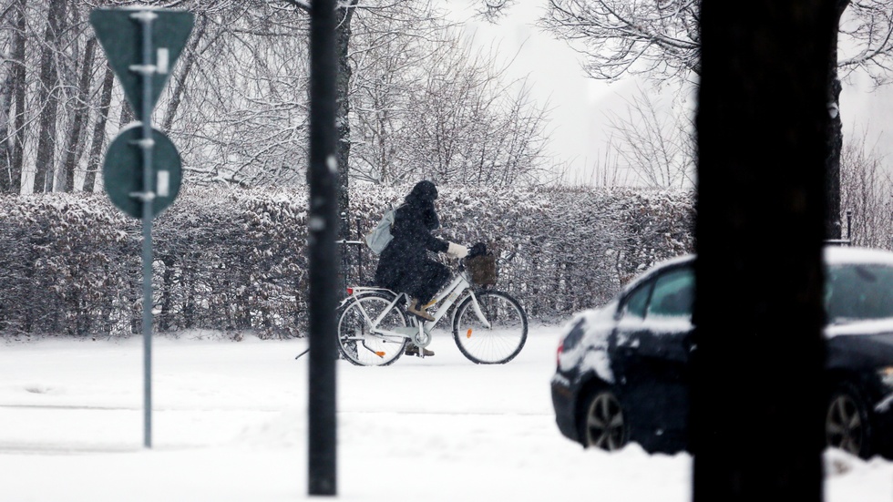Väder: Så mycket snö faller – då väntas uppehåll