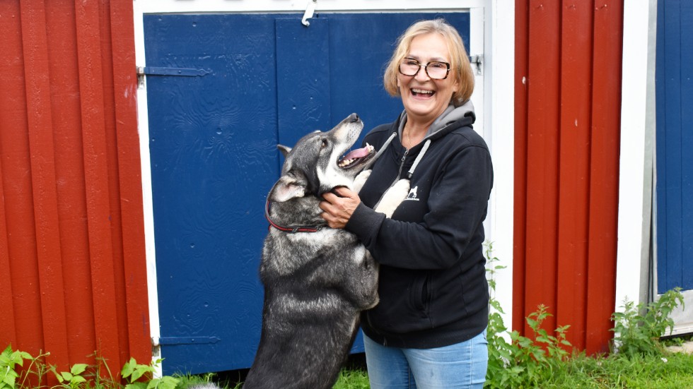 Här är norra Sveriges populäraste hundras