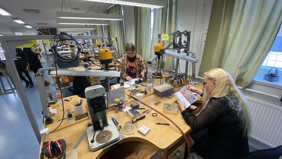 Förslaget: Så ska skolans unika program räddas