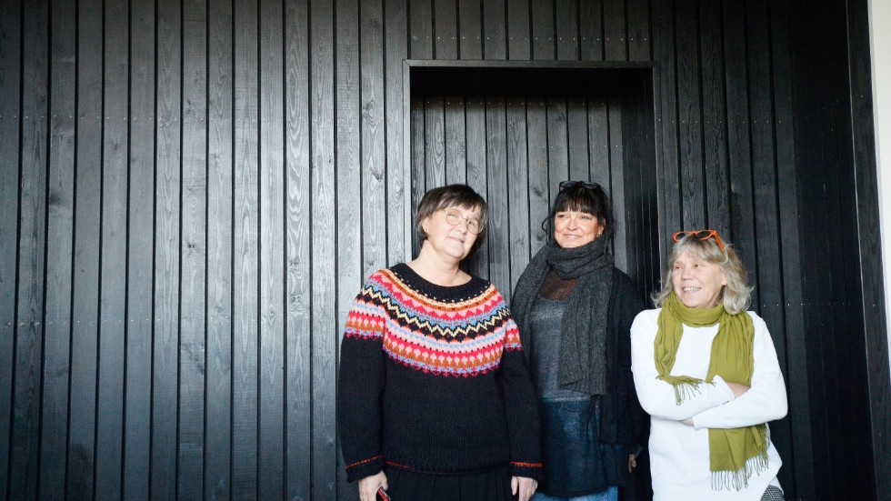 Skogen växer i Kanalskolans gamla lokaler – blir en plats för konst ...