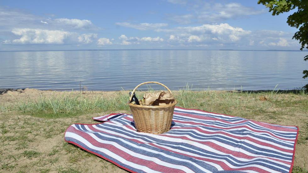 Less på midsommarmat? Här är bästa picknickkäket!