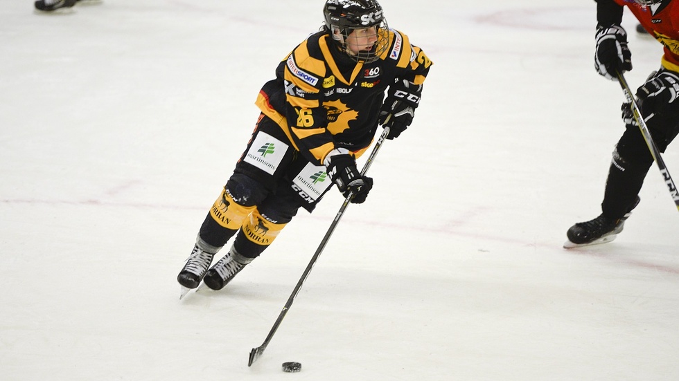 Skellefteå AIK:s väg till SDHL