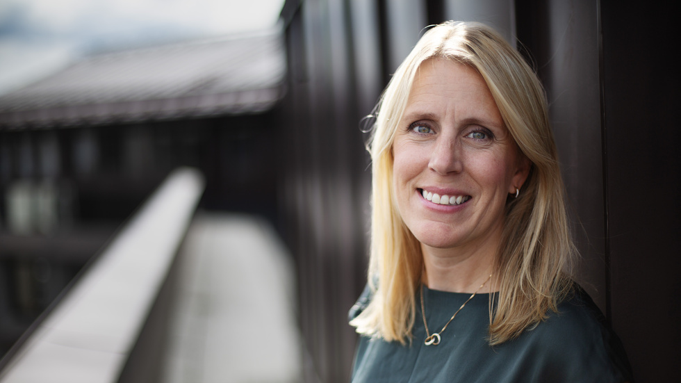 Ska leverera gotländskt kött – men inte på Gotland