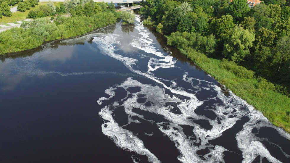 Vad är det som skummar i sjöarna? • "Blir som en visp i vattnet"