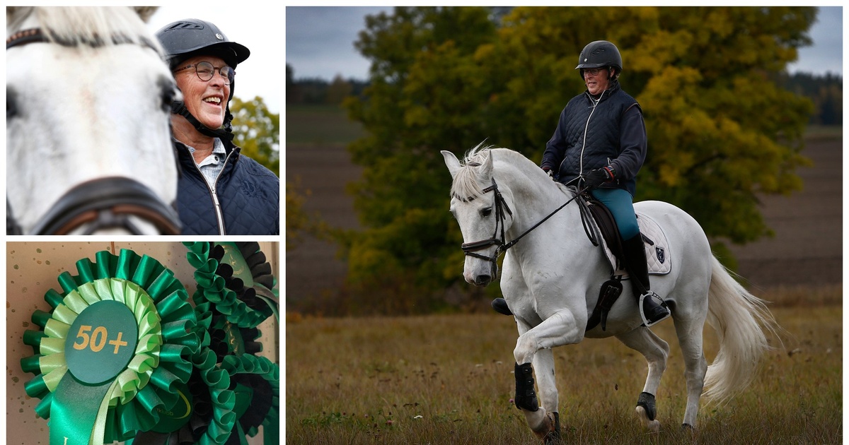 Ingrid köpte ny tävlingshäst - när hon var 73 år: "Jag lever mitt ...