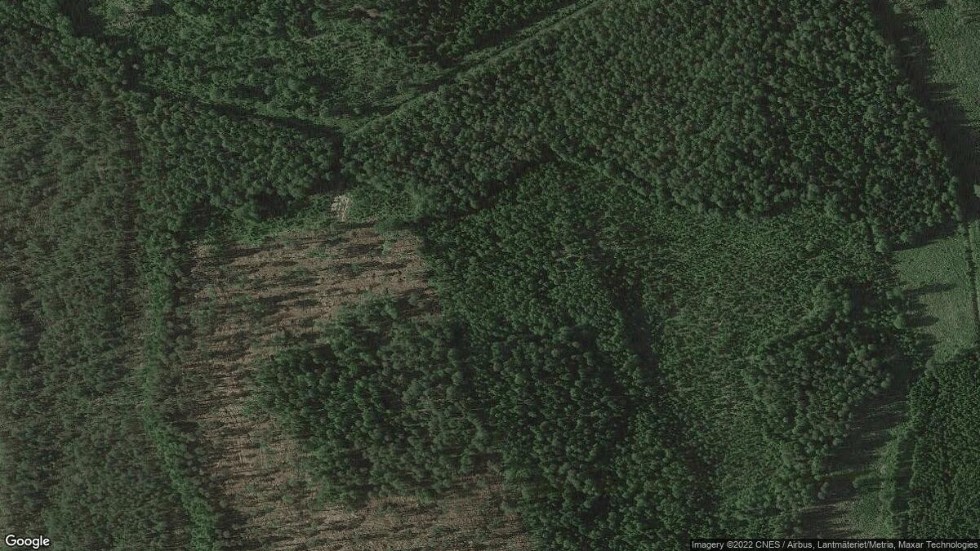 Nya ägare till skog i Heby kommun